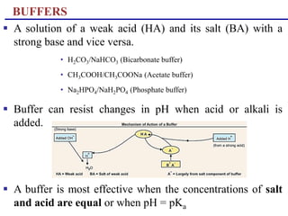 Acid base lecture | PDF