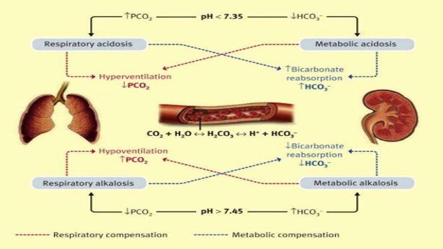 Acid, base, pH and buffers in the body