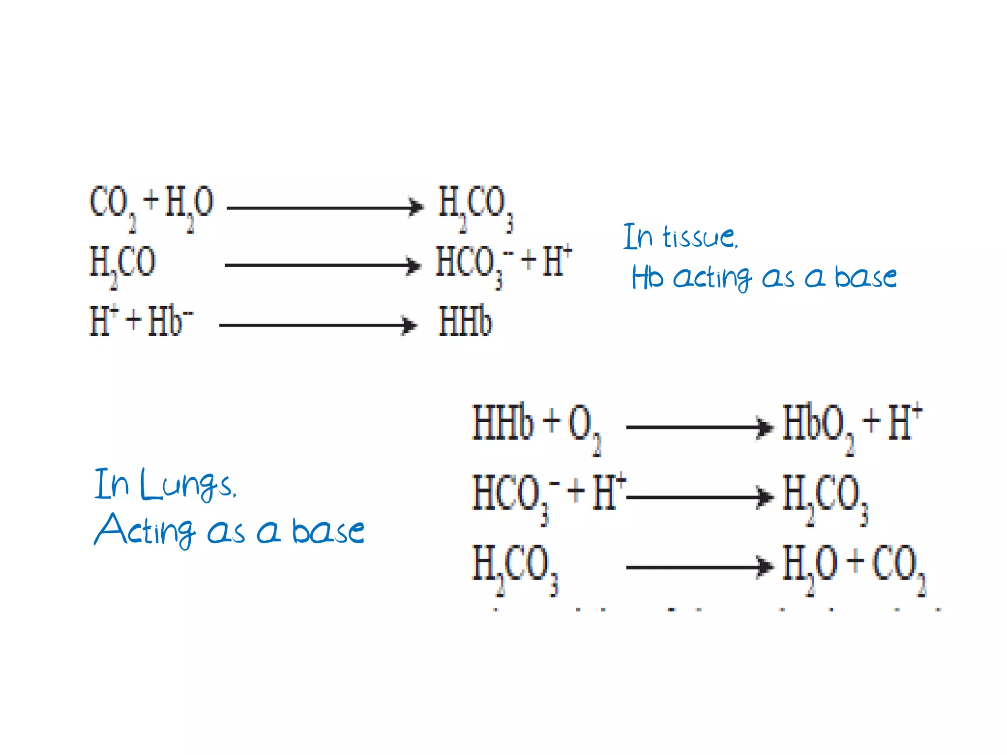 ACID BASE PH | PPT