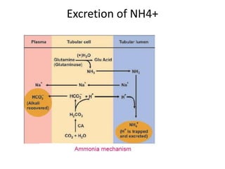 Acid base physiology and Lab Aspects of ABG | PPTX