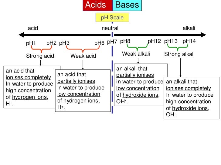 Organic Chemistry Acid Base Chart