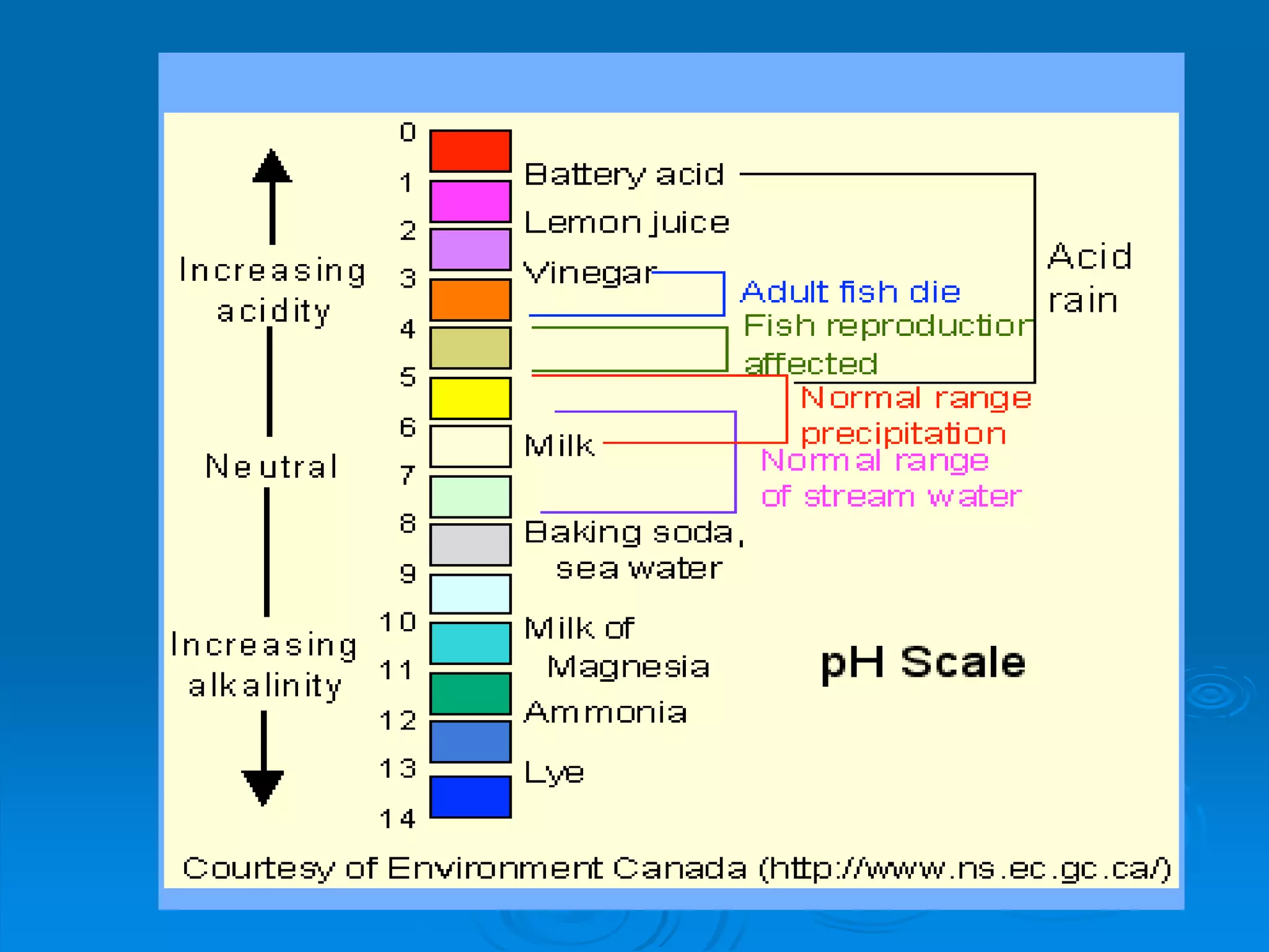 ACID BASES AND SALTS.ppt