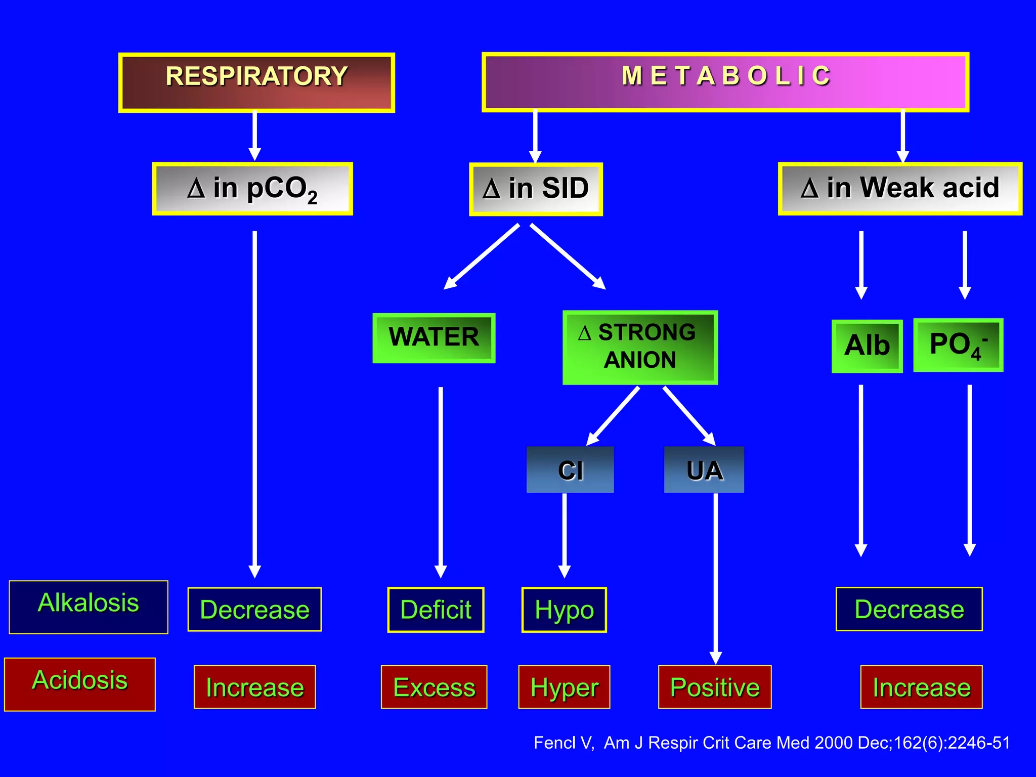 Acid base Steward.pptx