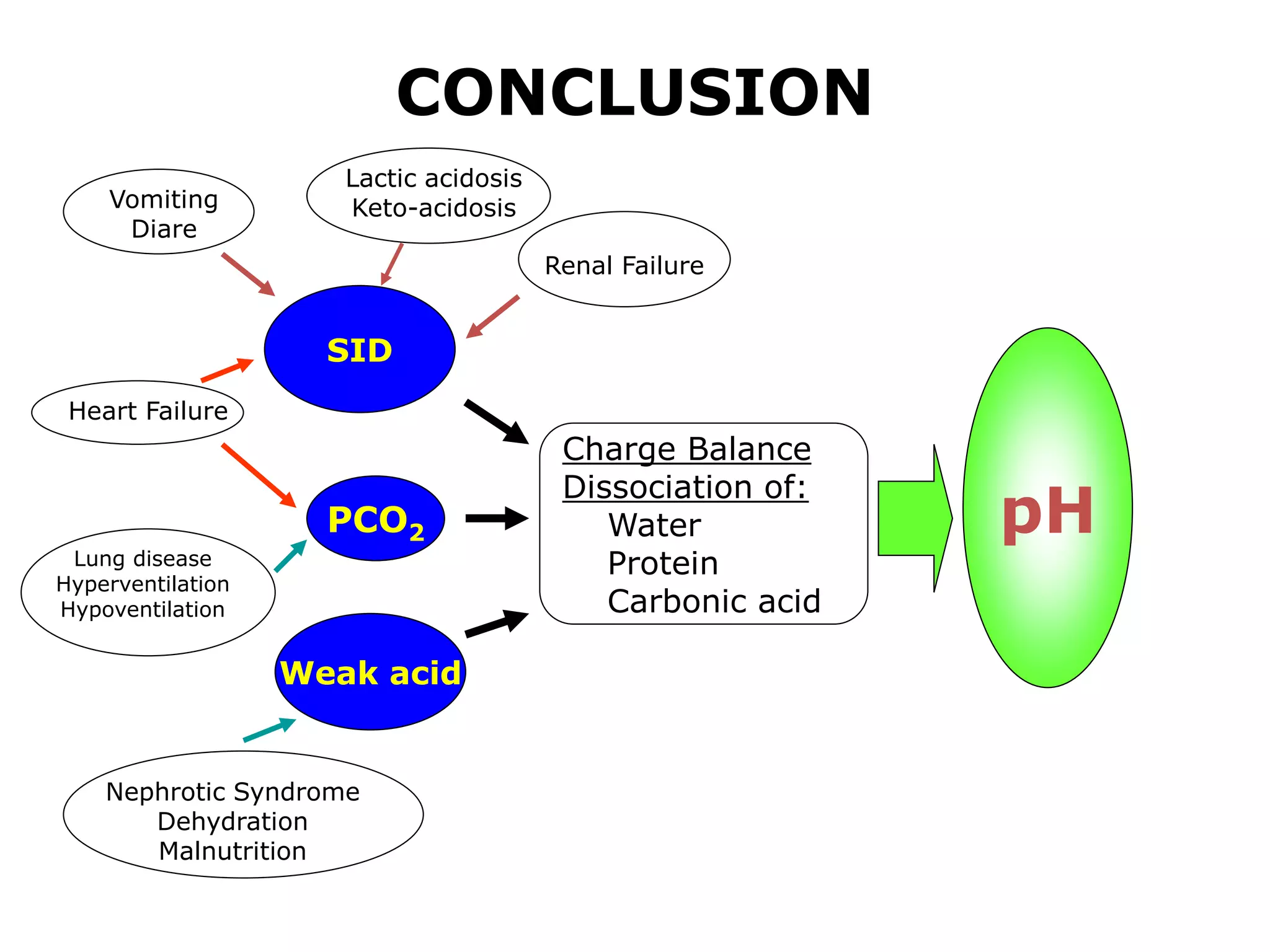 Acid base Steward.pptx