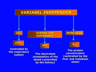 Acid base Steward.pptx