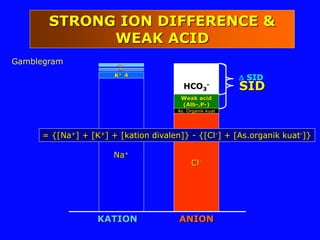 Acid base Steward.pptx