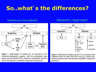 Acid base Steward.pptx
