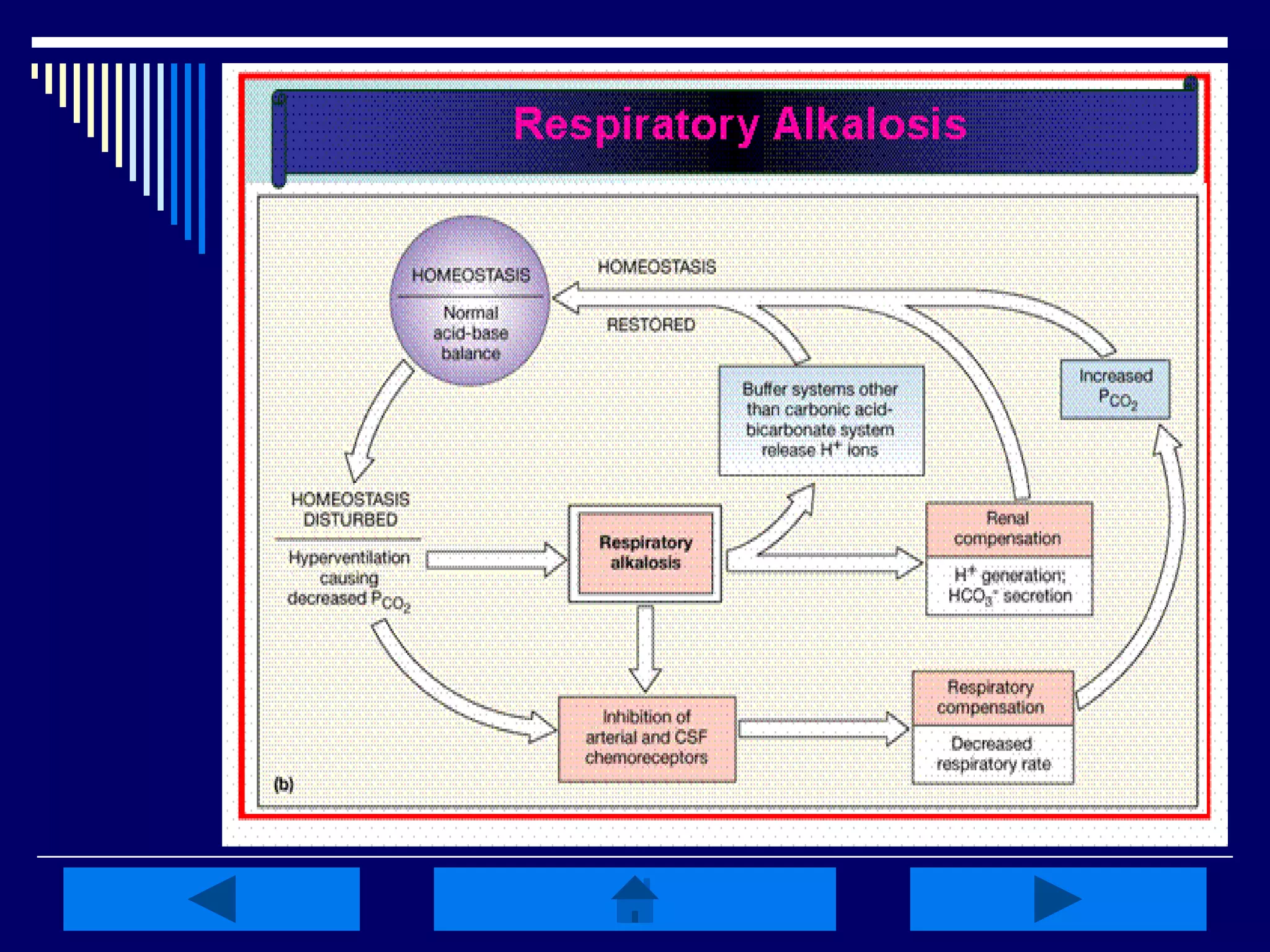 AcidBaseTutorial.ppt