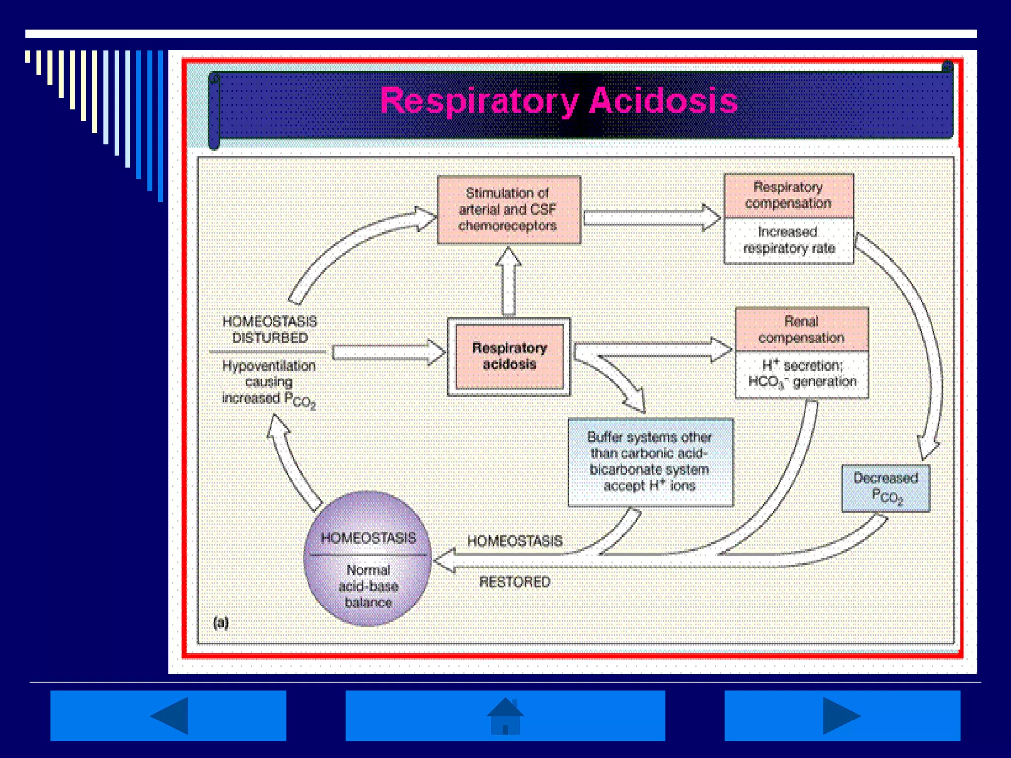 AcidBaseTutorial.ppt
