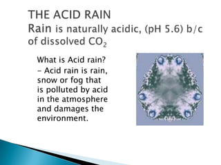 Acid deposition_by Rajkumar | PPTX