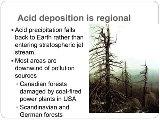 acid deposition.ppt | Indoor Environmental Quality | Home & Garden