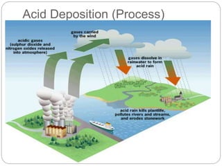 acid deposition.ppt | Indoor Environmental Quality | Home & Garden