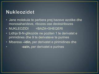 Acidet nukleike | PPTX