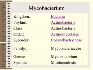 Acid fast bacillus - Myobecterium Tuberculaes | PPT