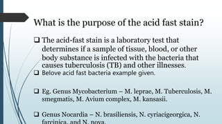 Acid fast bacteria and acid fast staining | PPTX