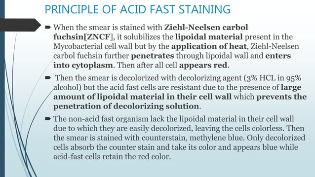 Acid fast bacteria and acid fast staining | PPTX