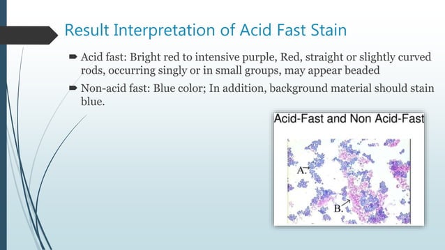 Acid fast bacteria and acid fast staining | PPTX