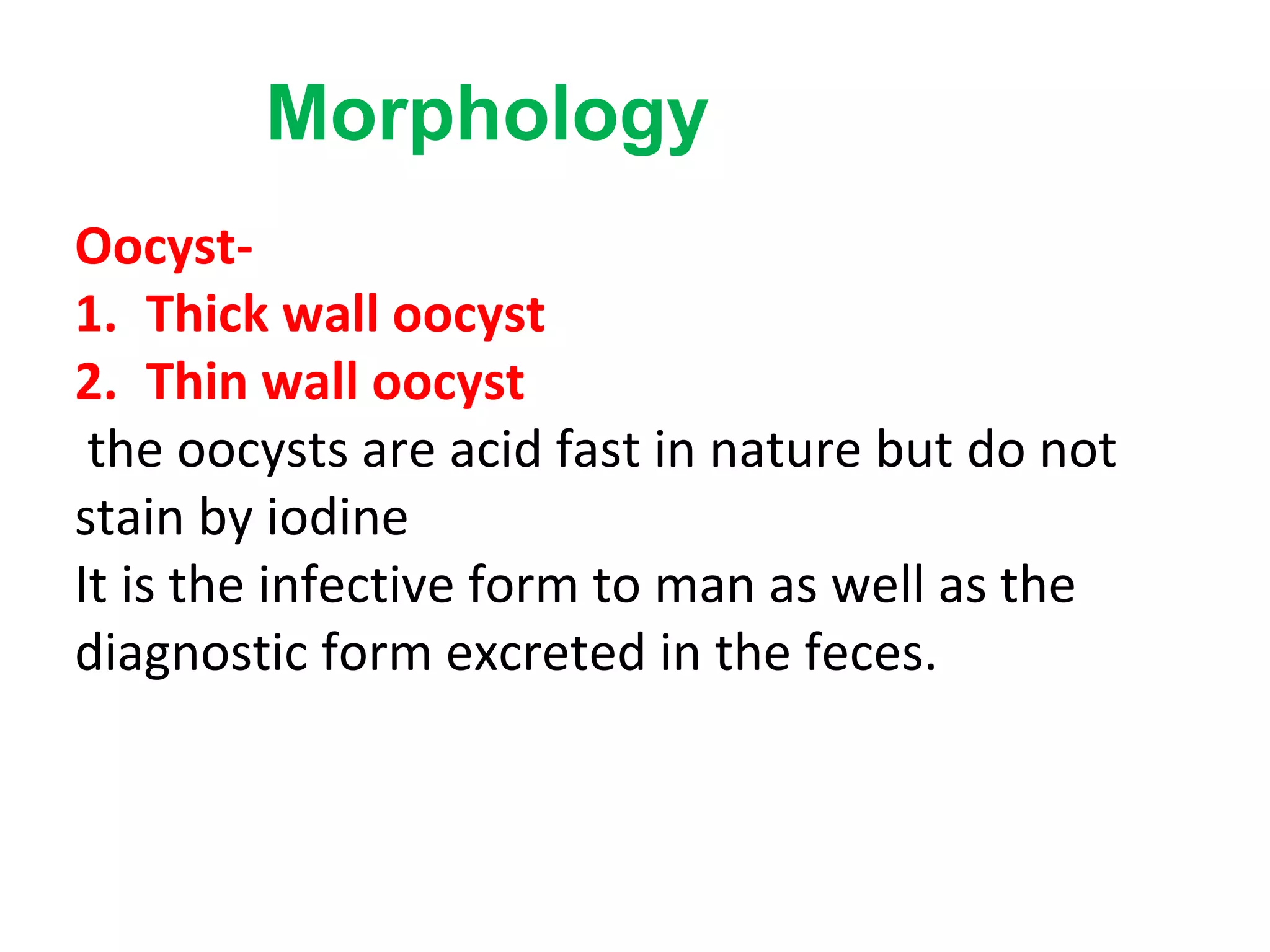 Acid fast parasites | PPTX
