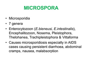 Acid fast parasites | PPTX