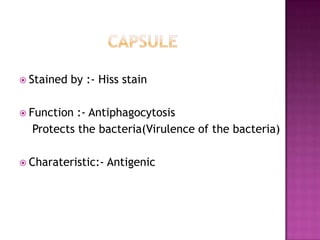 Acid Fast Staining | PPTX