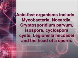 Acid fast staining, A PRESENTATION FOR BIOTECHNIC AND BIOTECHNOLOGY ...