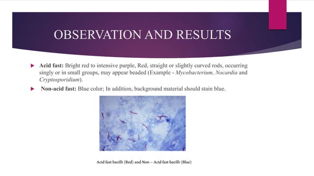 Acid fast staining | PPTX | Chemistry | Science