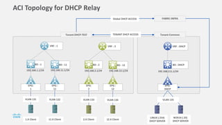 ACI DHCP 구성 가이드 | PDF