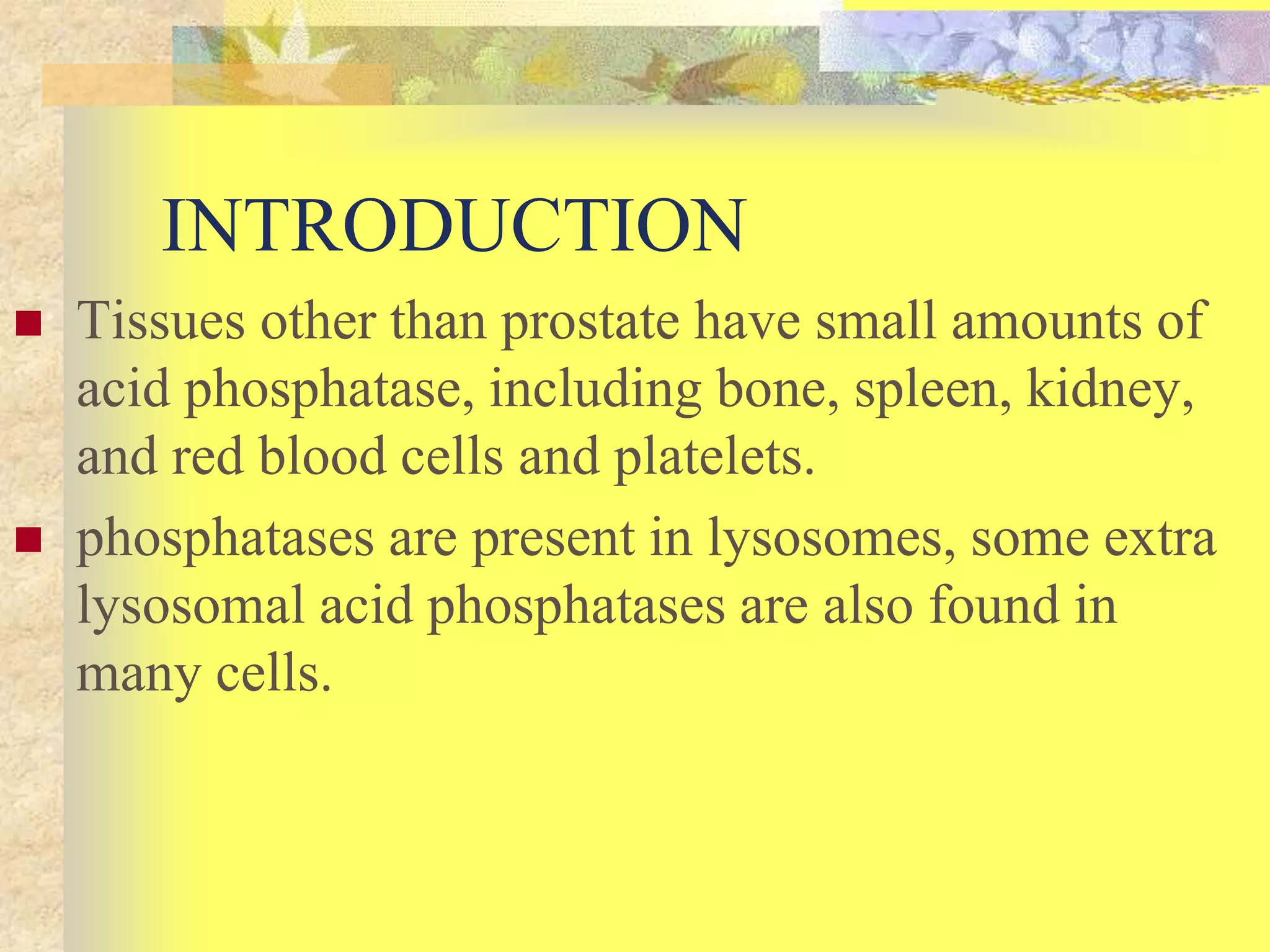 ACIDIC PHOSPHATASE ENZYME (ACP) | PPTX