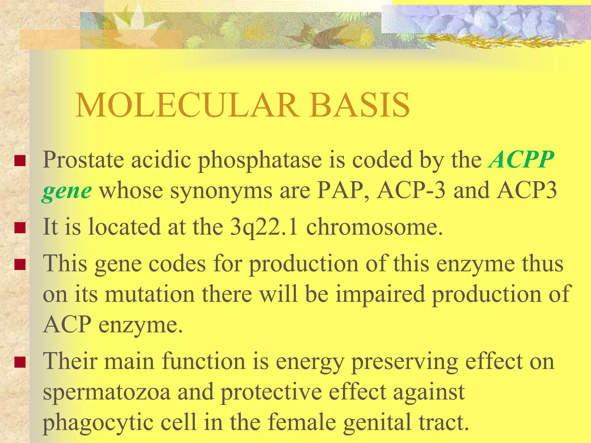 ACIDIC PHOSPHATASE ENZYME (ACP) | PPT