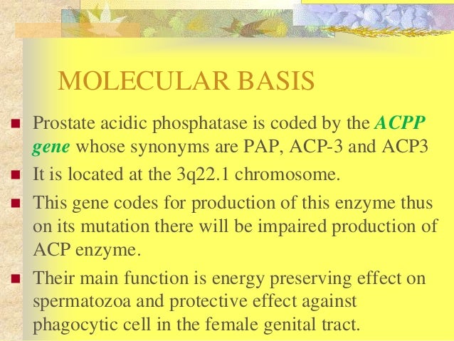 ACIDIC PHOSPHATASE ENZYME (ACP)