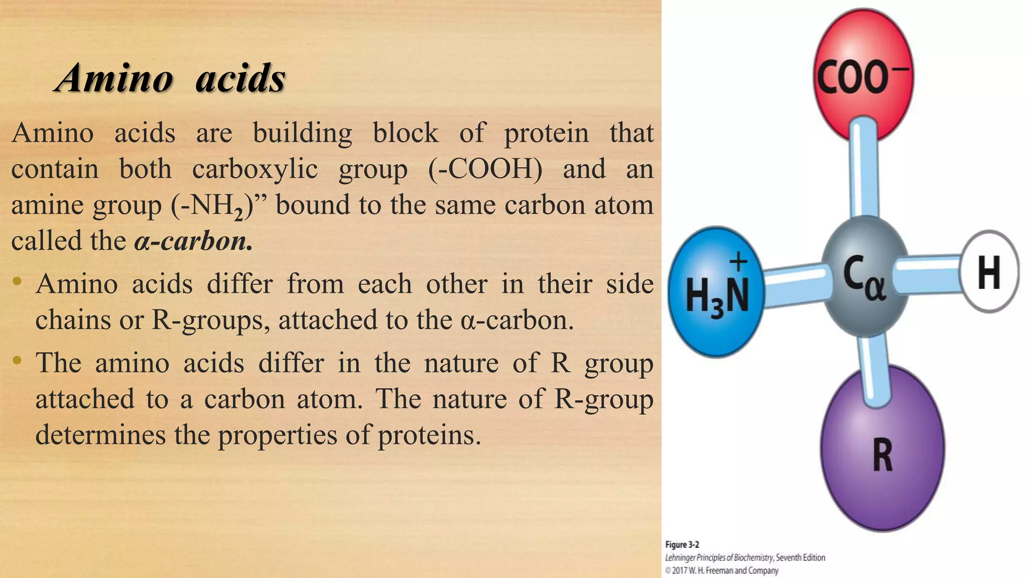 Acidic properties of amino acid By Abdul Qadeer | PPTX