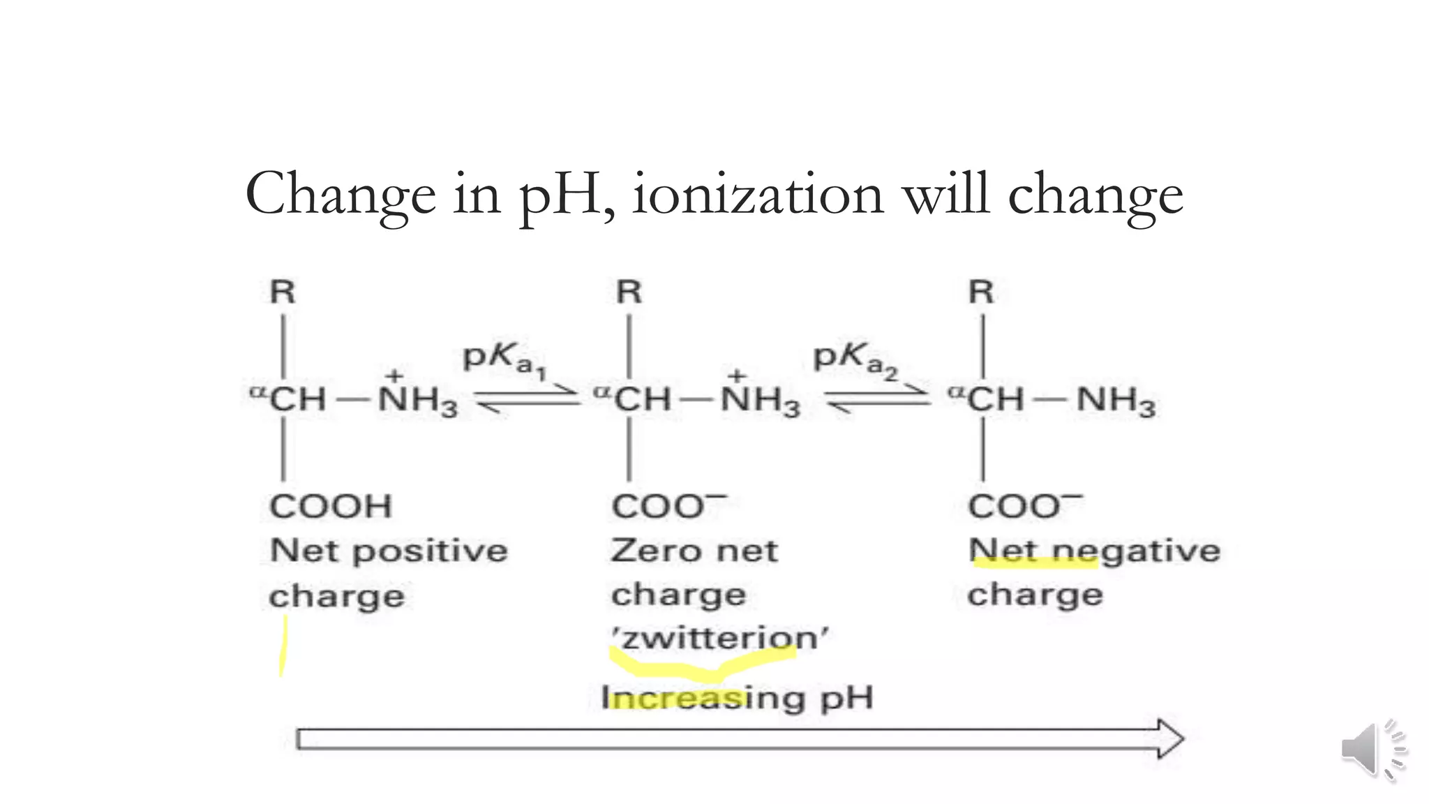 Acidic properties of amino acid By Abdul Qadeer | PPTX