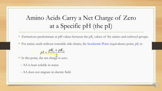 Acidic properties of amino acid By Abdul Qadeer | PPTX