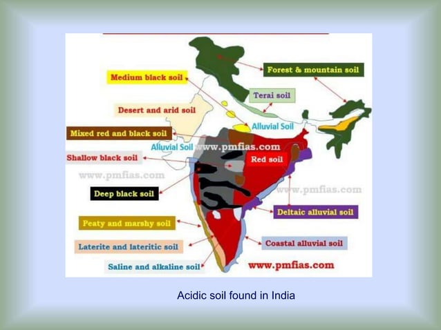 Acidic soil (IGKV RAIPUR C.G) | PPTX | Science