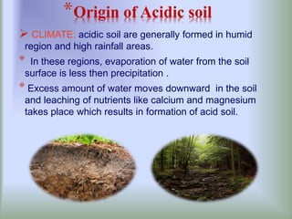 Acidic soil (IGKV RAIPUR C.G) | PPTX