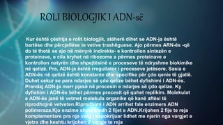 Acidi desoksiribonukleik adn | PPTX