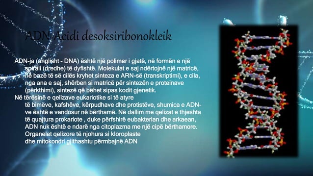 Acidi desoksiribonukleik adn | PPT