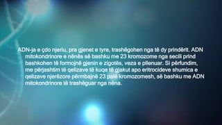 Acidi desoksiribonukleik adn | PPTX