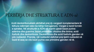 Acidi desoksiribonukleik adn | PPT