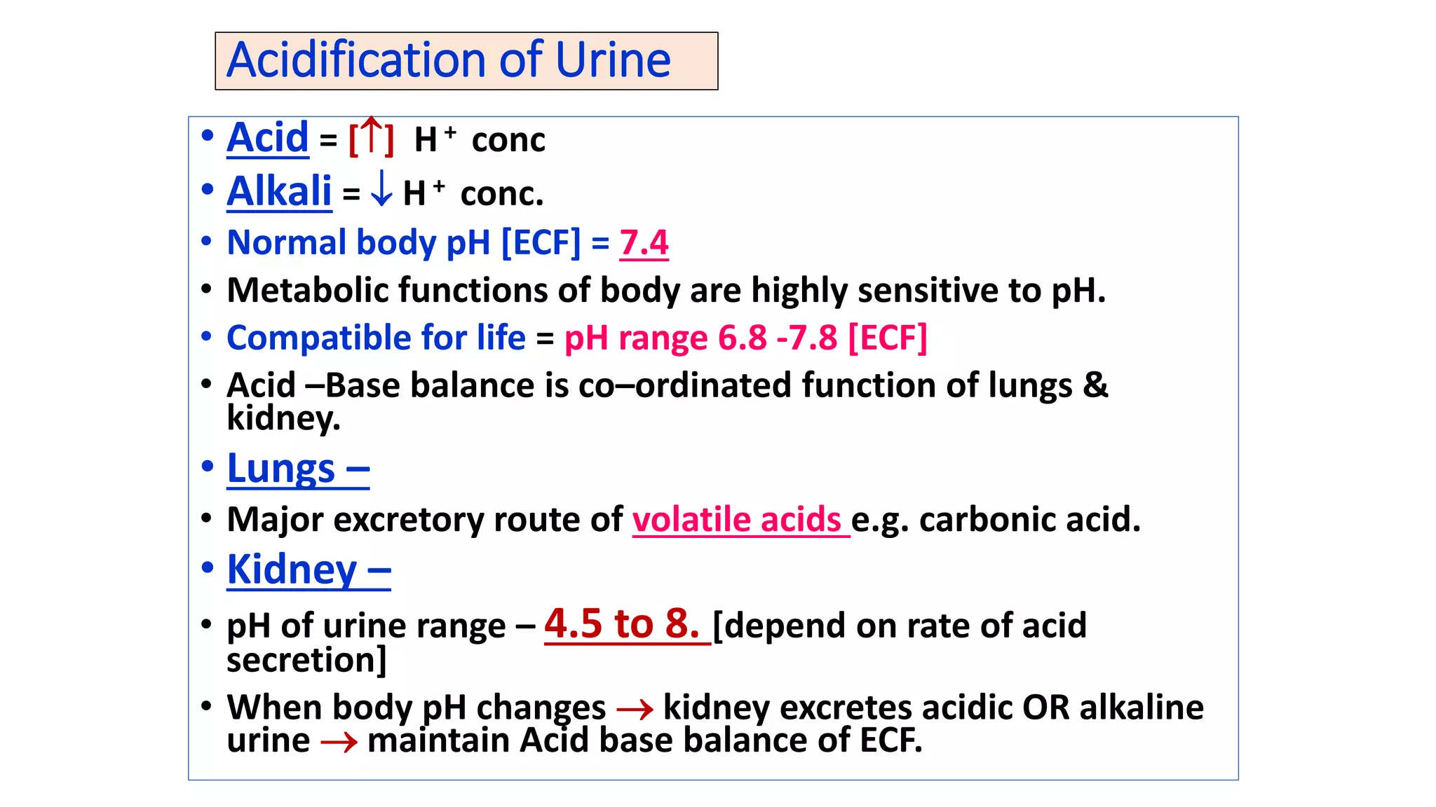 Acidification of urine | PPTX