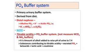 Acidification of urine | PPTX