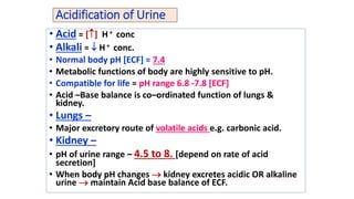 Acidification of urine | PPTX