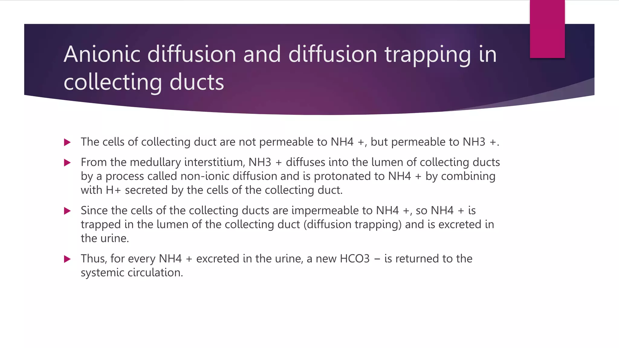 Acidification of urine.pptx