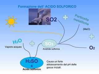 Acidificazione | PPT