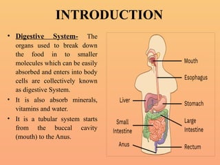 Acidifiers - First Year Pharm D Pharmaceutical Inorganic Chemistry | PPTX