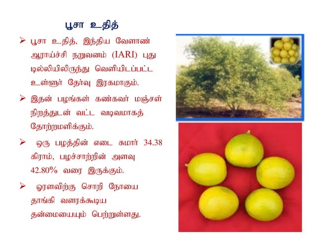 acid lime Cultivation and management to farmers | PDF | Business ...