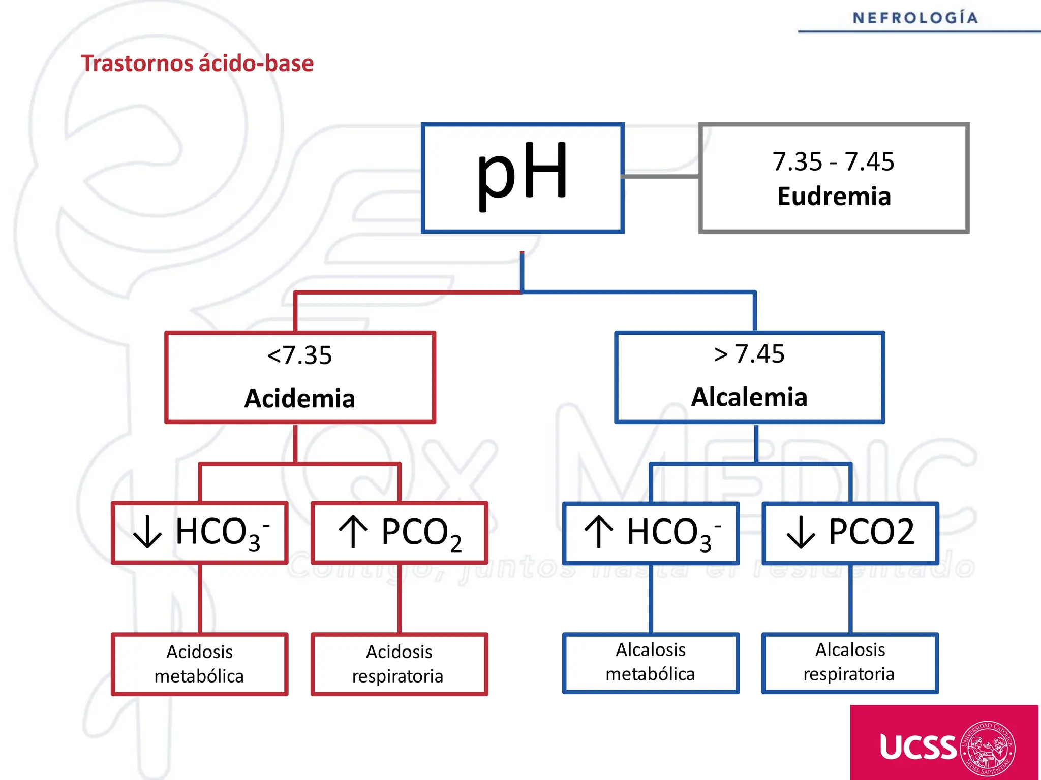RESUMEN DEL TEMA ACIDO - BASE FISIOPATOLOGIA | PPT
