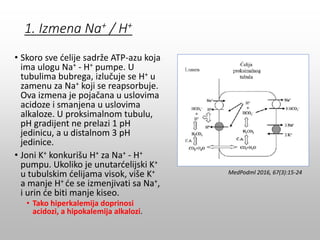 Acidobazna ravnoteza | PDF