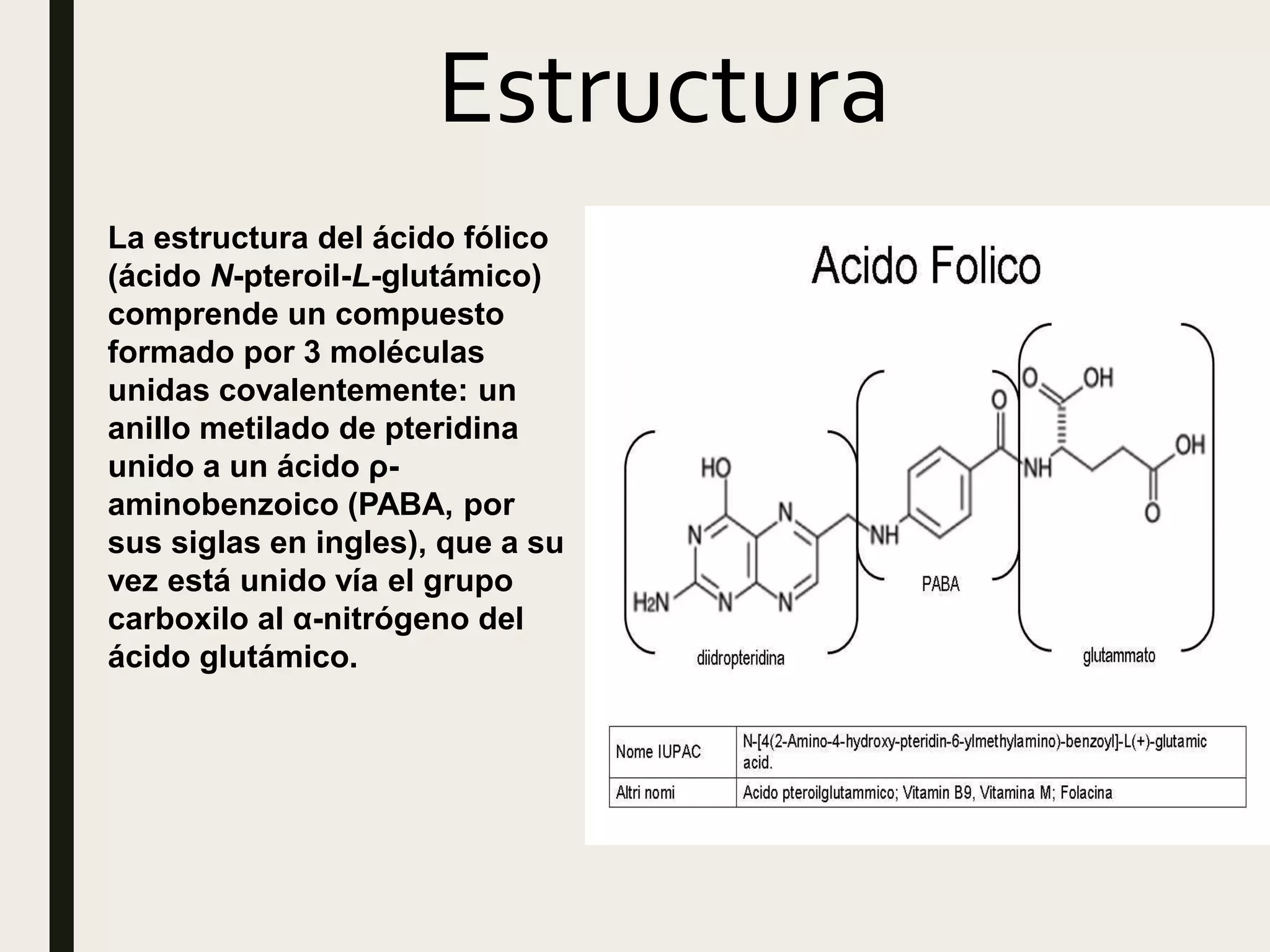 ÁCIDO FÓLICO (Vitamina B9) | PPTX