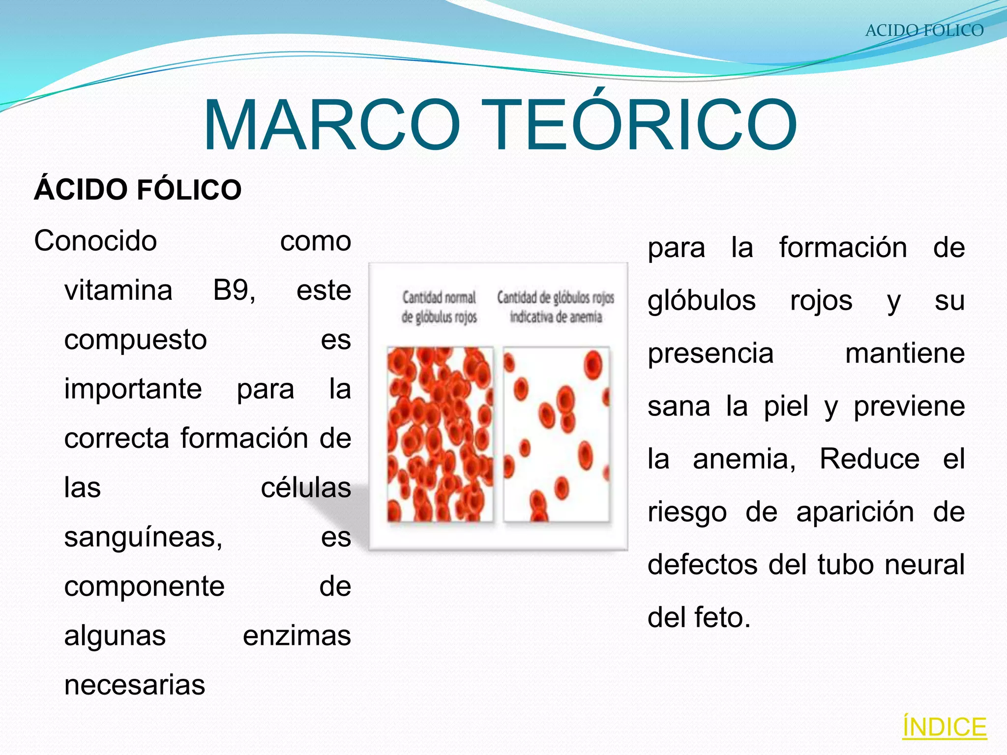 Acido folico presentacion221 | PPT